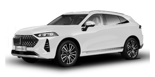 WEY קופי 01 – timecar